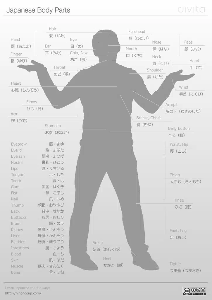 What are Japanese body standards? - Japan Nihon
