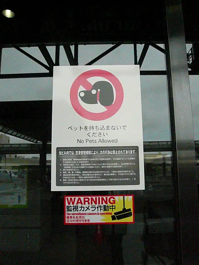What is not allowed in Japan Airport? - Japan Nihon