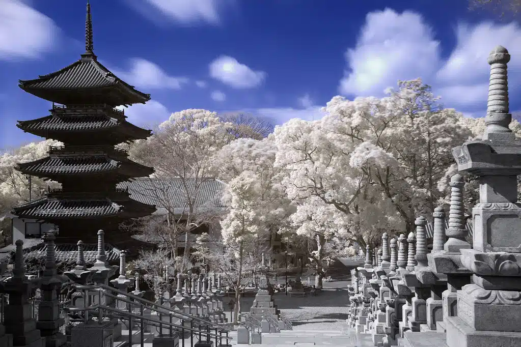 Can I wear a crop top in Japan? - Japan Nihon