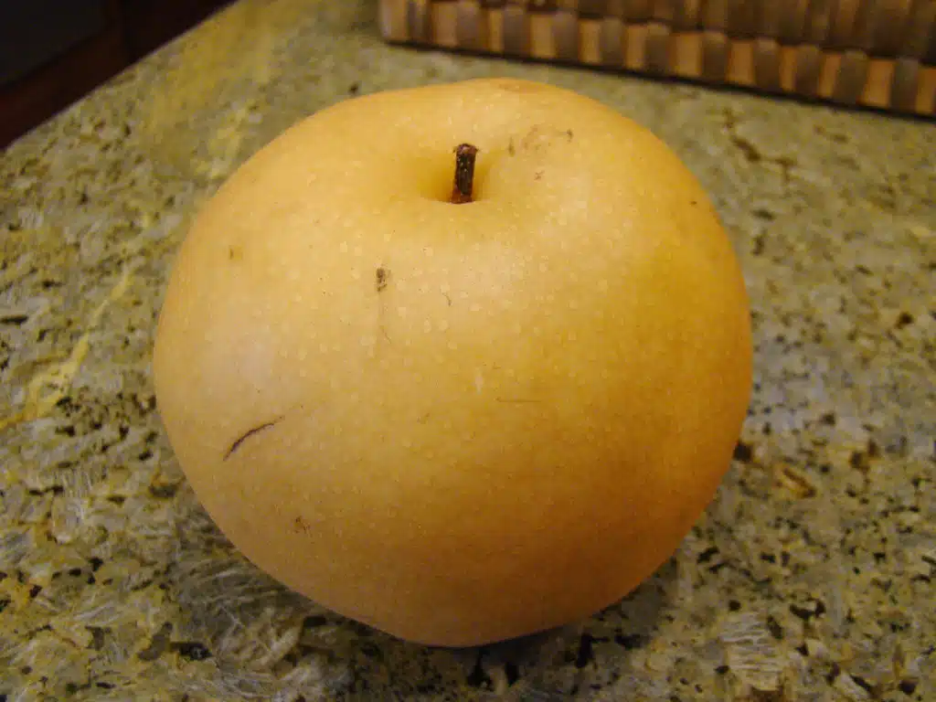 What is the Japanese apple called? - Japan Nihon