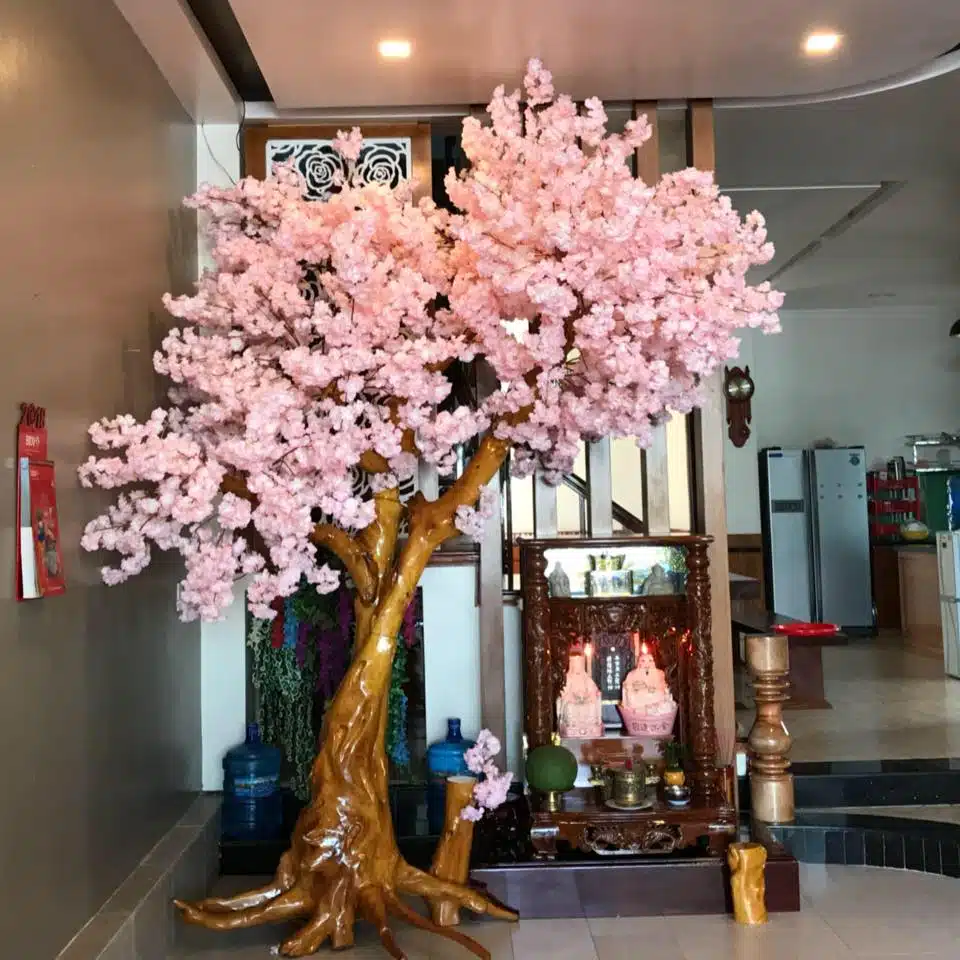 What month is sakura bloom in Japan? - Japan Nihon