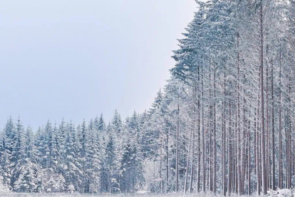 What's the coldest it can get in Japan? - Japan Nihon