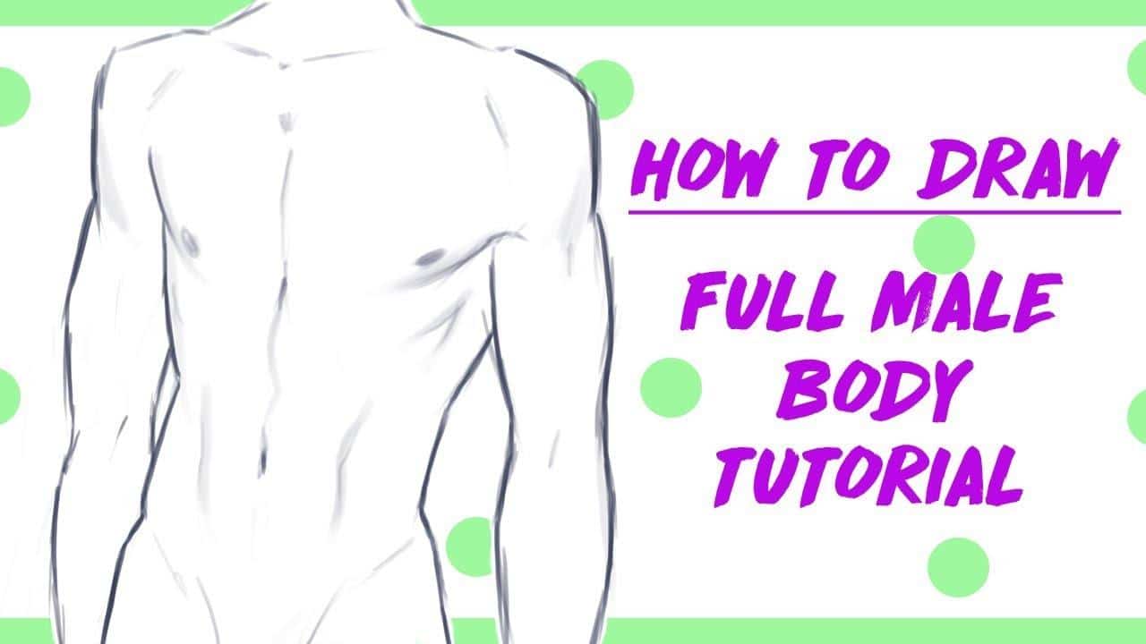 How to draw anime male torso? - Japan Nihon
