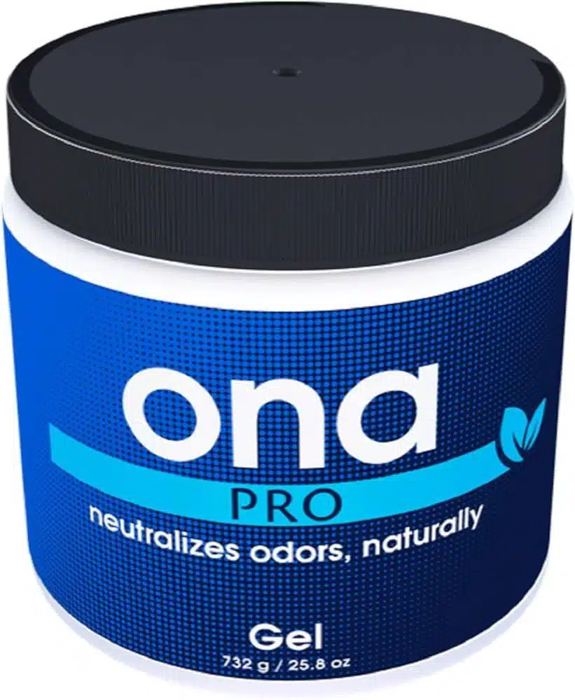 What does ona stand for in anime? - Japan Nihon