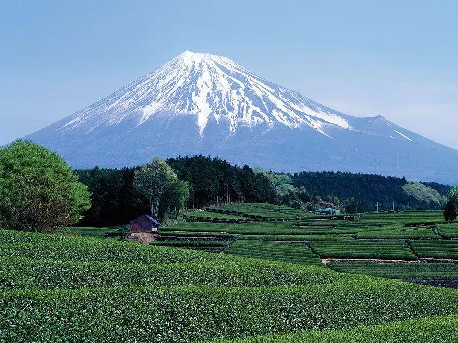 Can you see fuji from tokyo? - Japan Nihon