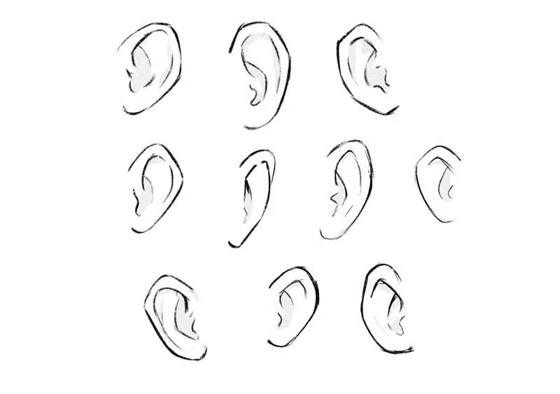 How to draw anime ears? - Japan Nihon