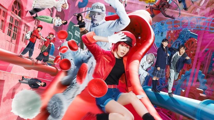 Netflix to Stream Cells at Work! Live-Action Film - Japan Nihon