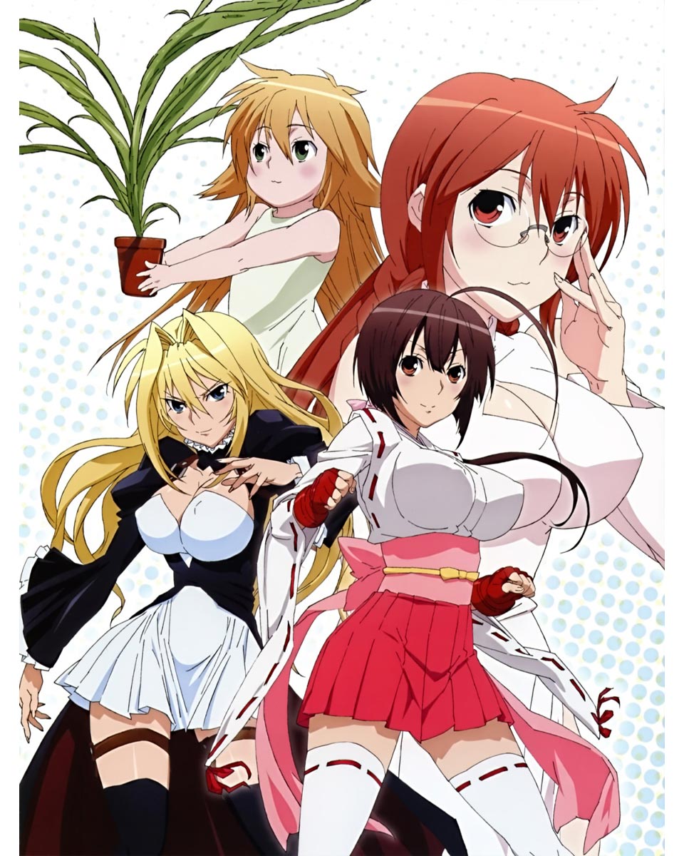 The Ultimate Guide to the Best Harem Anime to Watch!! - Japan Nihon