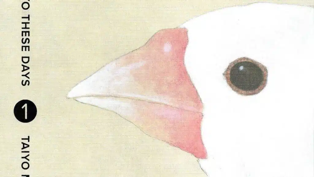 Taiyo Matsumoto’s Tokyo These Days Volume 1 Recognized with LA Times ...